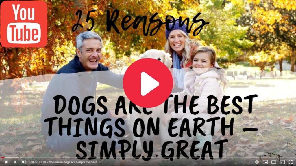 25 Reasons Dogs Are The Best Things On Earth - Simply Great ...